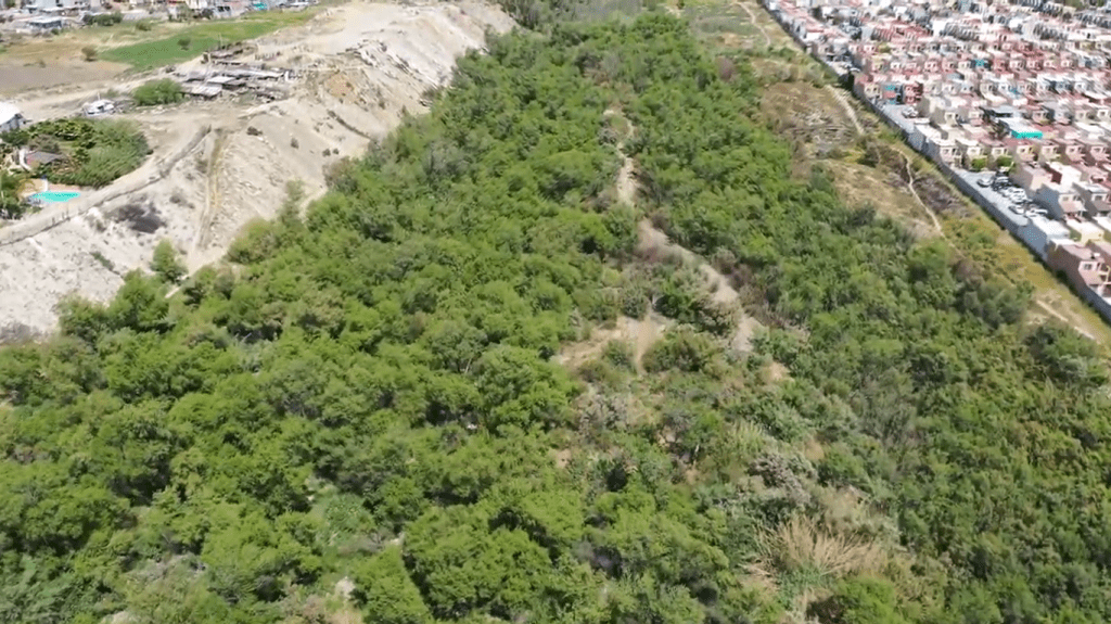 Alamar Sustentable – Por una Tijuana saludable y mejor calidad de vida